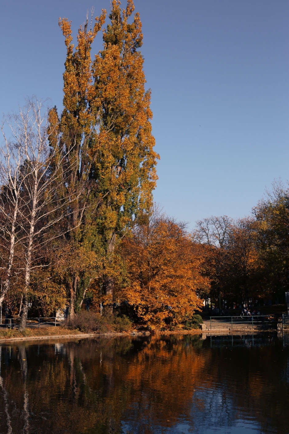 10 BEST THINGS TO DO IN VIENNA IN FALL